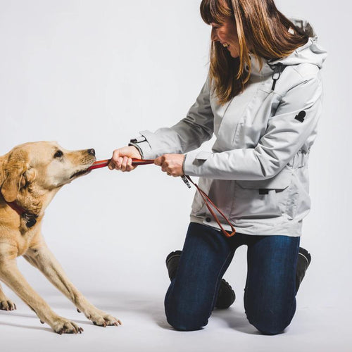 BEHIND THE SCENES WITH HENRY THE LABRADOR – TOG24