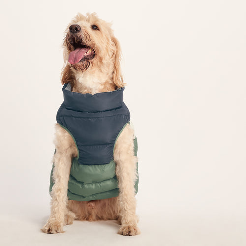 Fetch Padded Dog Coat L - Dark Indigo/Vanilla/Light Forest – TOG24