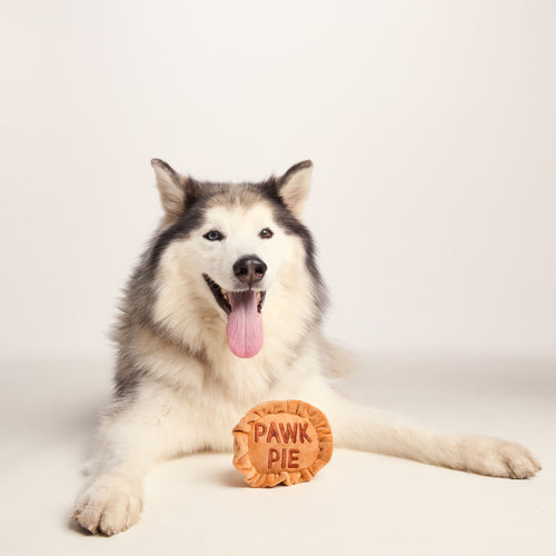 Pawk Pie Dog Plush Toy in Brown with Squeaker| TOG24