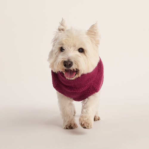 Rover Sherpa Dog Coat S - Washed Burgundy – TOG24
